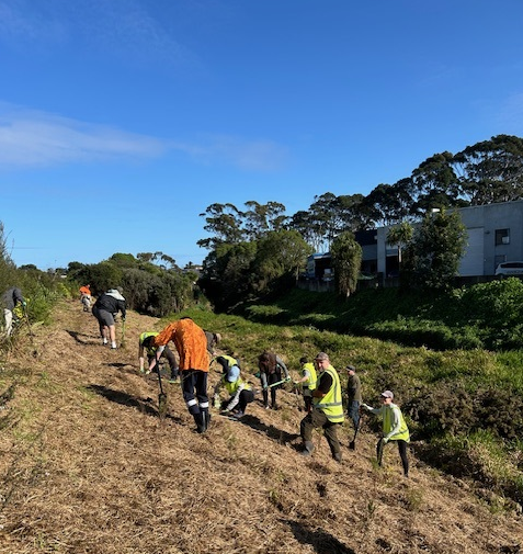 Tree Planting at Puhinui Stream | Rotary World Press Photo Exhibition